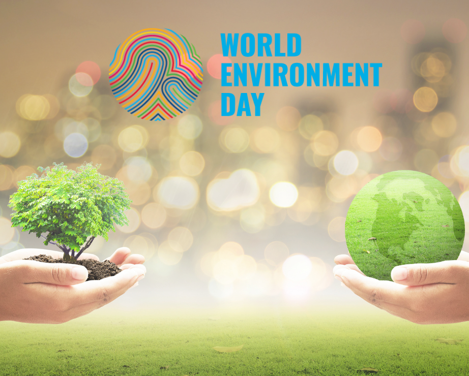 World Environment Day - Lucy Group