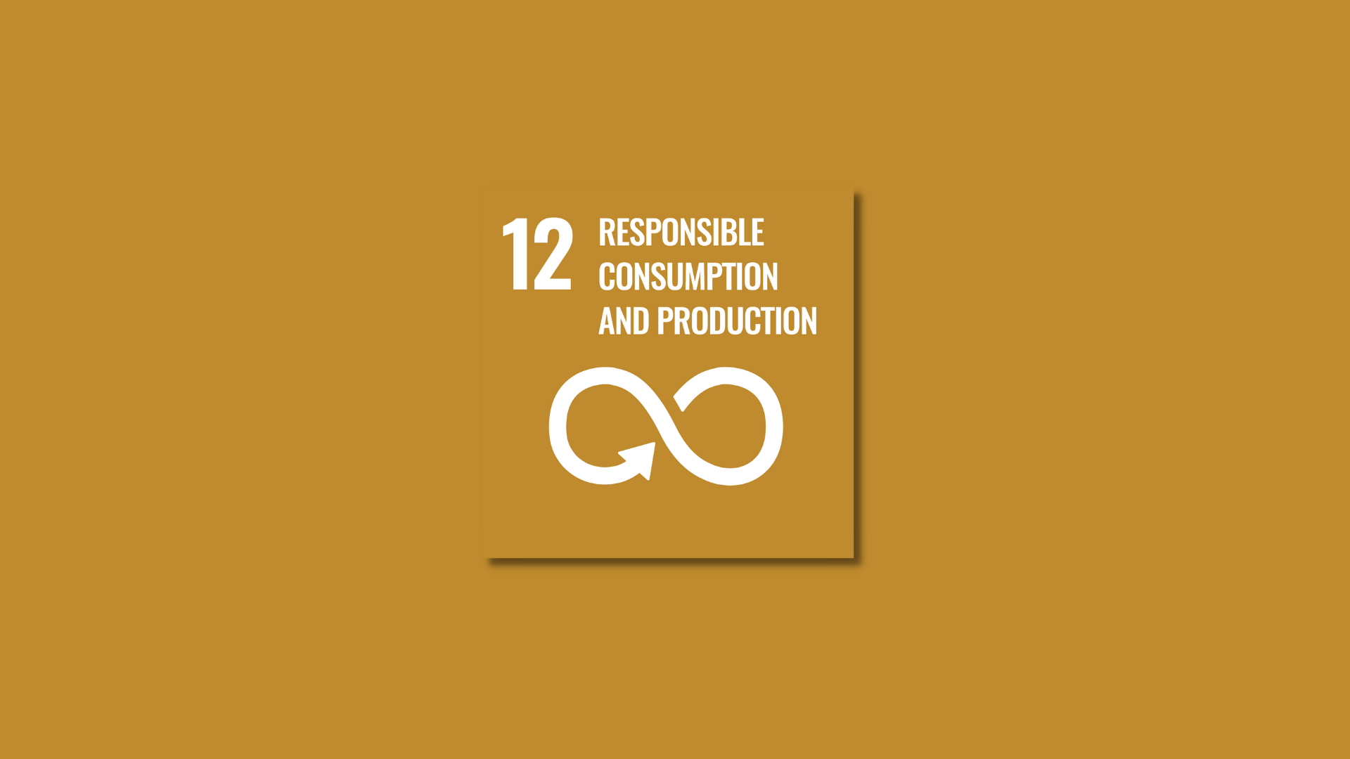 SDG 12 - Lucy Group
