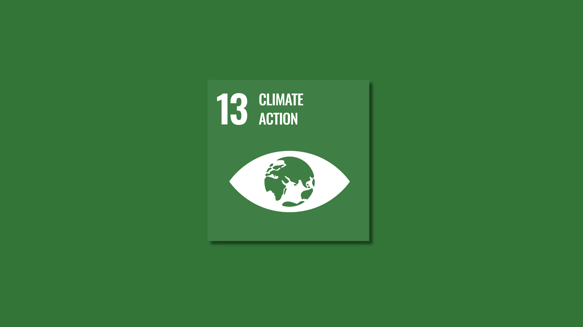 SDG 13 - Lucy Group