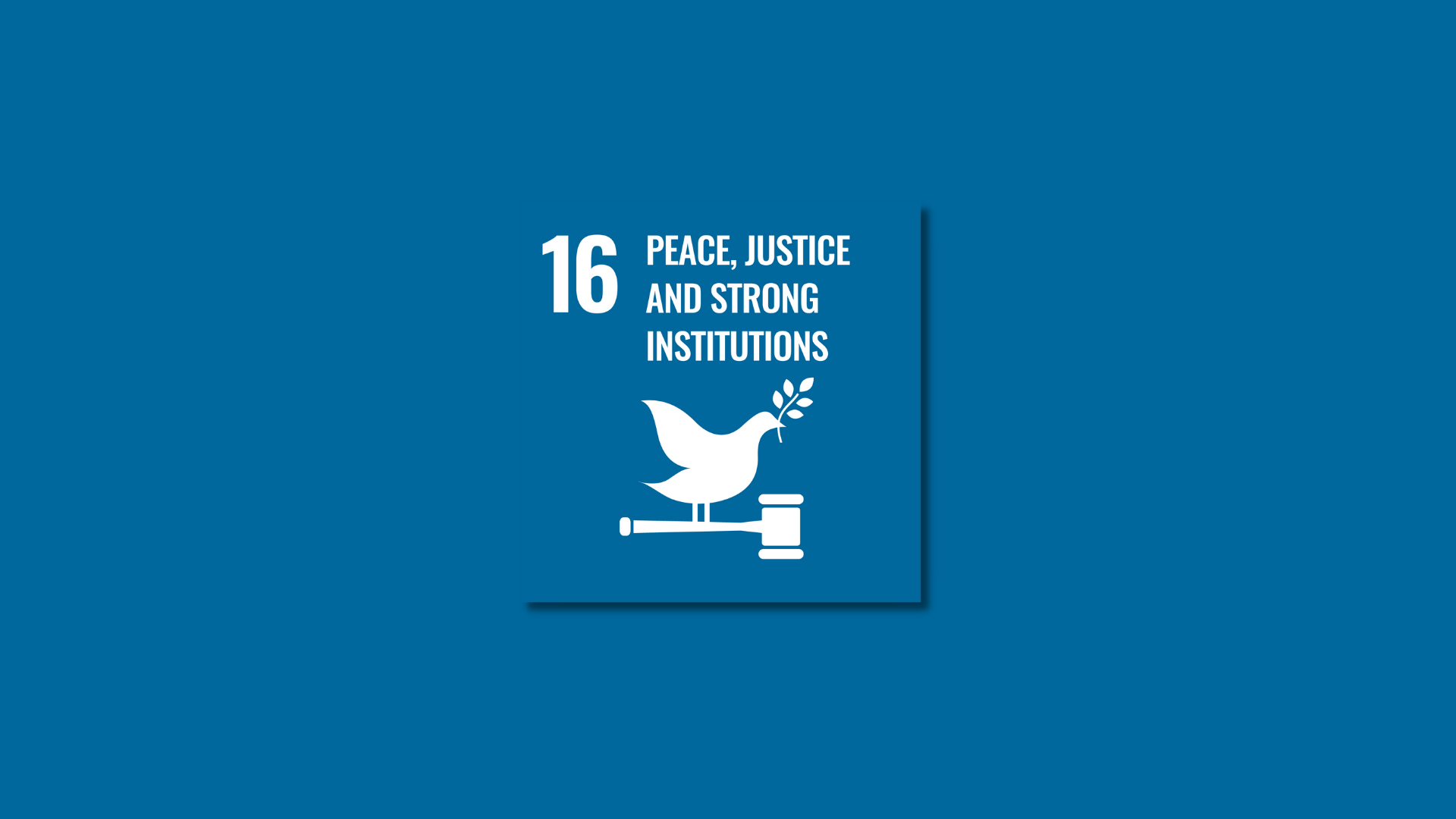 SDG 16 - Lucy Group