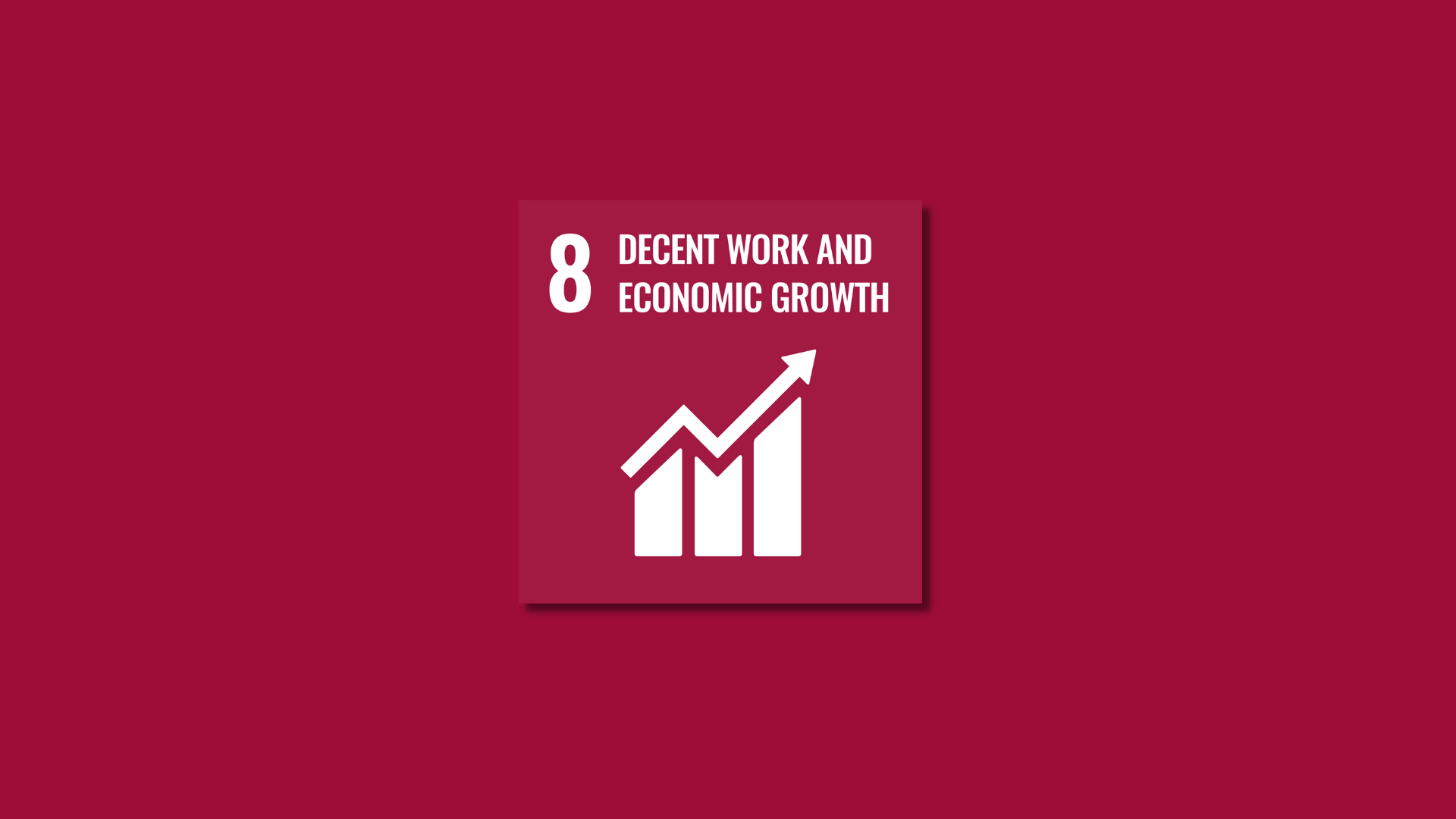 Sdg 8 Lucy Group