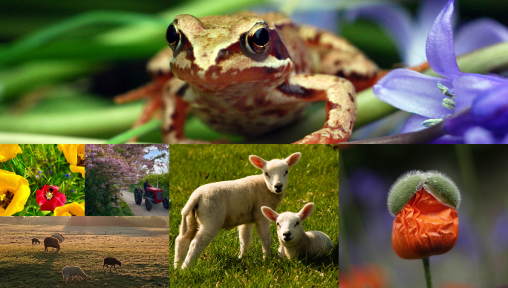 Ellie Riddle - Sustainability Analyst - Lucy Group